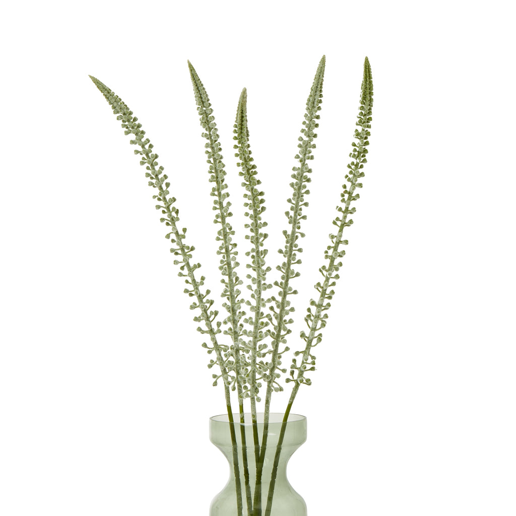 Faux White Eremurus Stems – Mulberry Barn Living